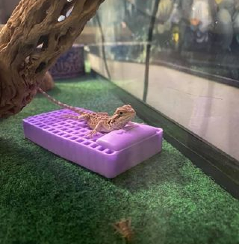 Experience The Purple Squishy Mattress Sample | Purple